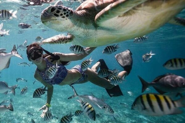 54 Inspiring Freediving Quotes and Sayings | Vanguard