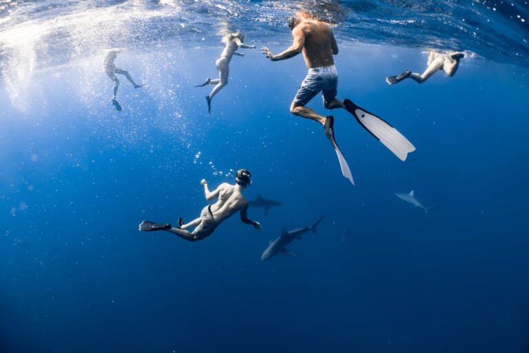 Snorkeling vs. Skin Diving vs. Freediving | Vanguard