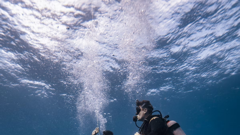 Snorkeling vs. Skin Diving vs. Freediving | Vanguard