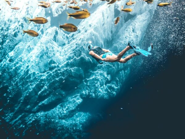 Snorkeling vs. Skin Diving vs. Freediving | Vanguard